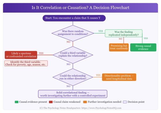 Correlation vs Causation: Real-Life Examples Explained