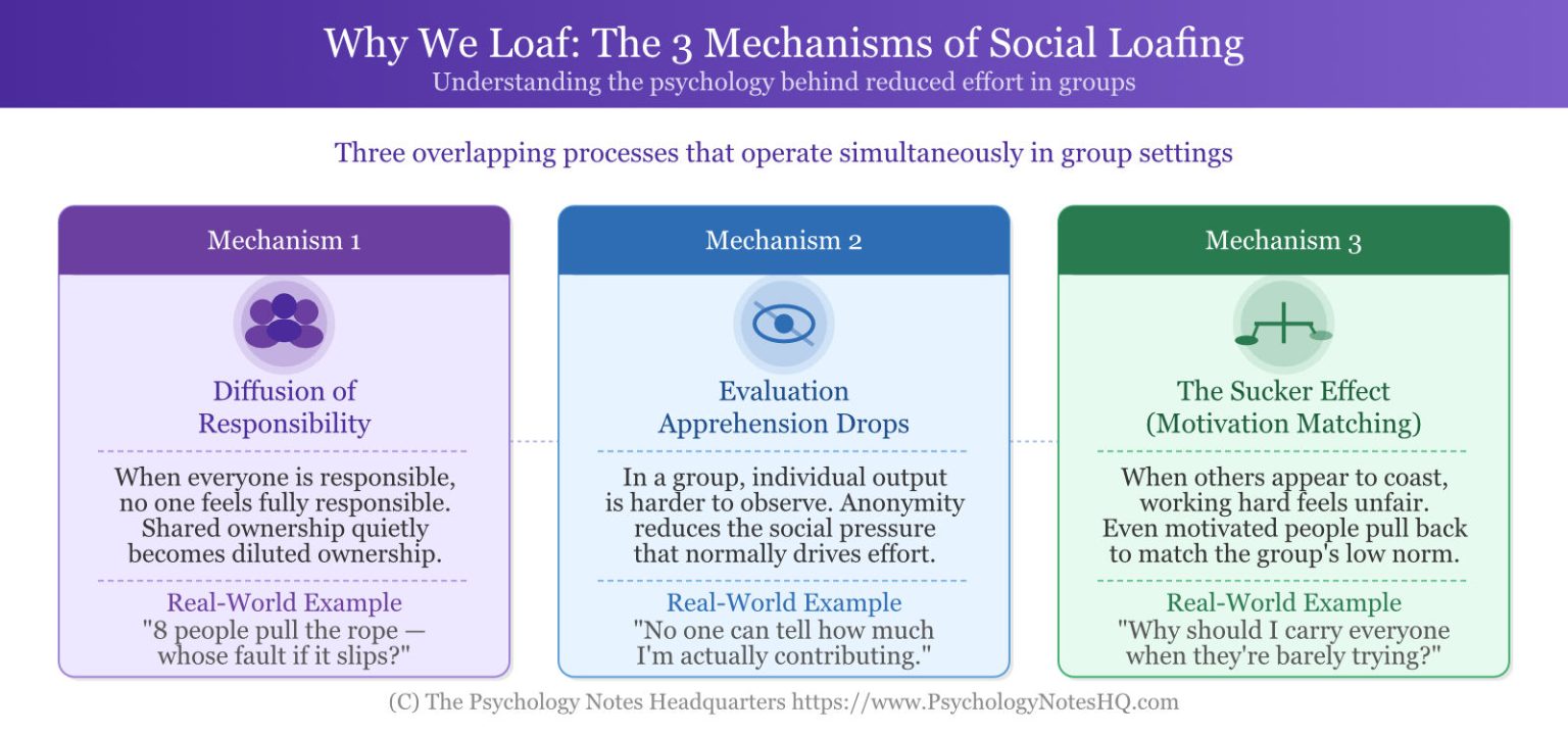 Social Loafing: Why We Work Less Hard in Groups